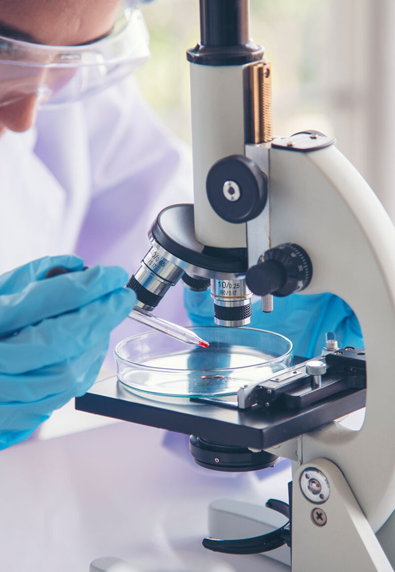 COSMETICS REGULATION - ZAZALAB